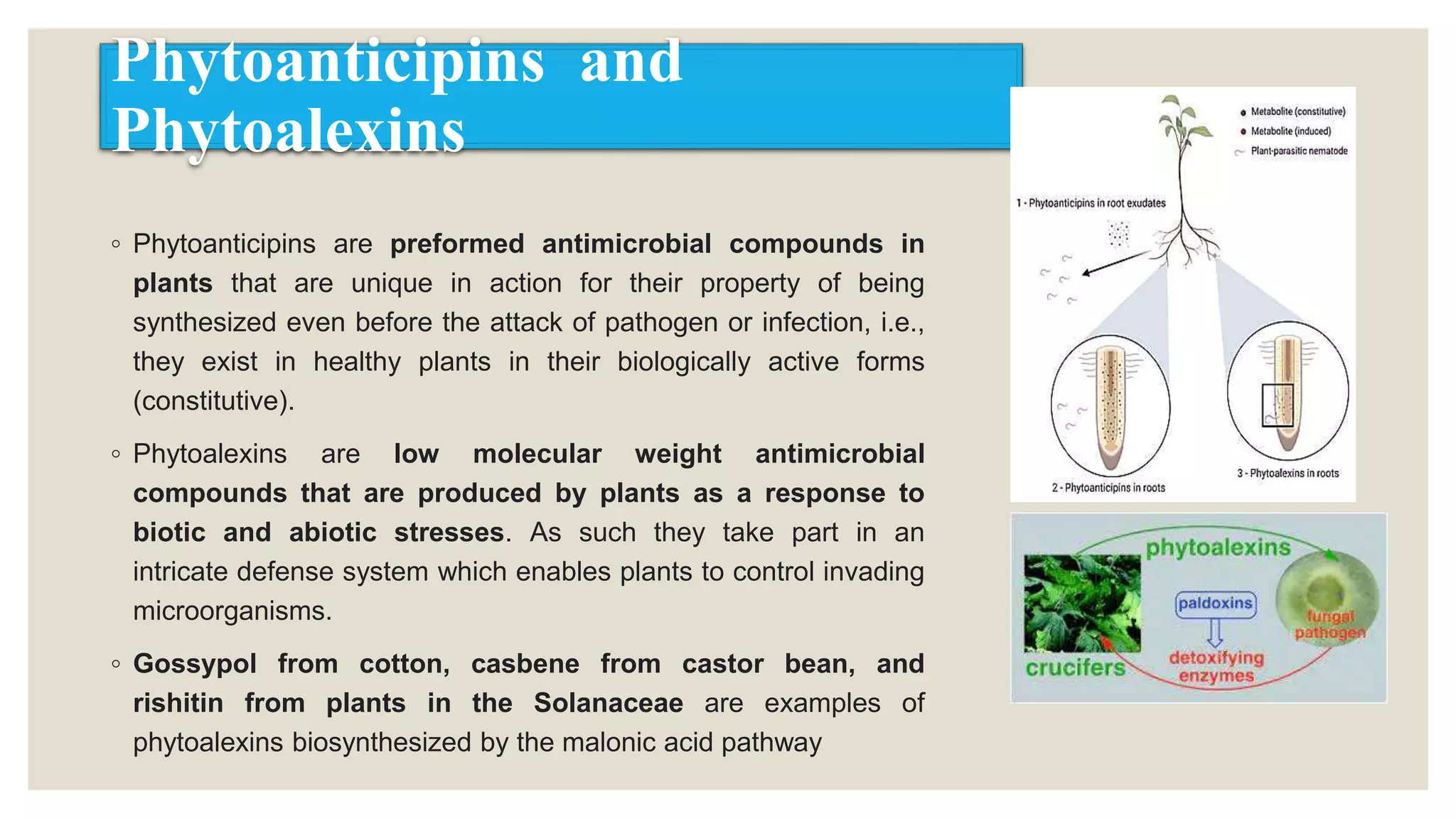 Biochemistry of induced resistance-Polyphenol oxidase pathways.pptx