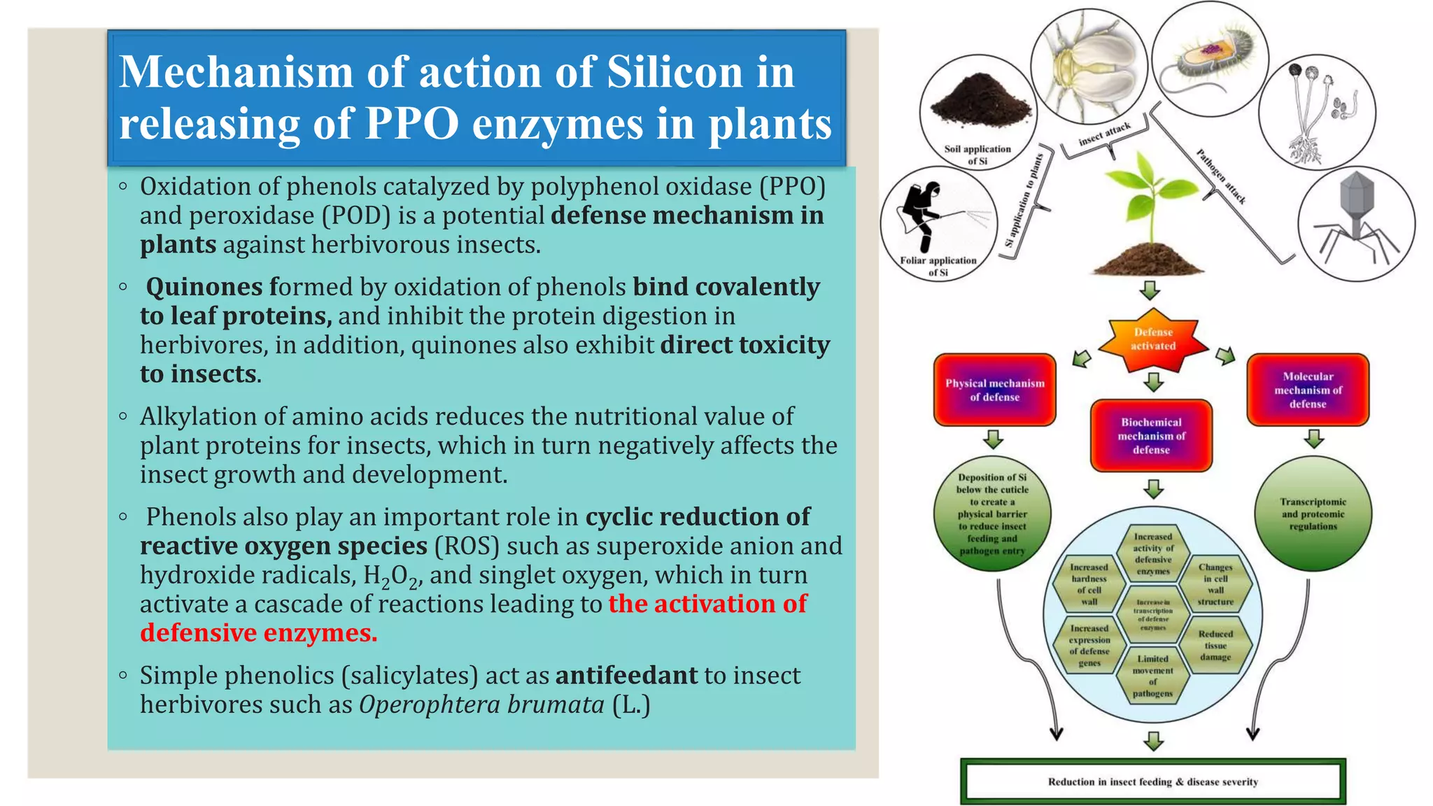 Biochemistry of induced resistance-Polyphenol oxidase pathways.pptx ...