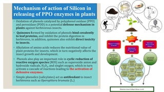 Biochemistry of induced resistance-Polyphenol oxidase pathways.pptx ...