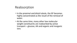 Biochemistry of kidney.pptx