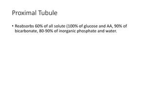Biochemistry of kidney.pptx