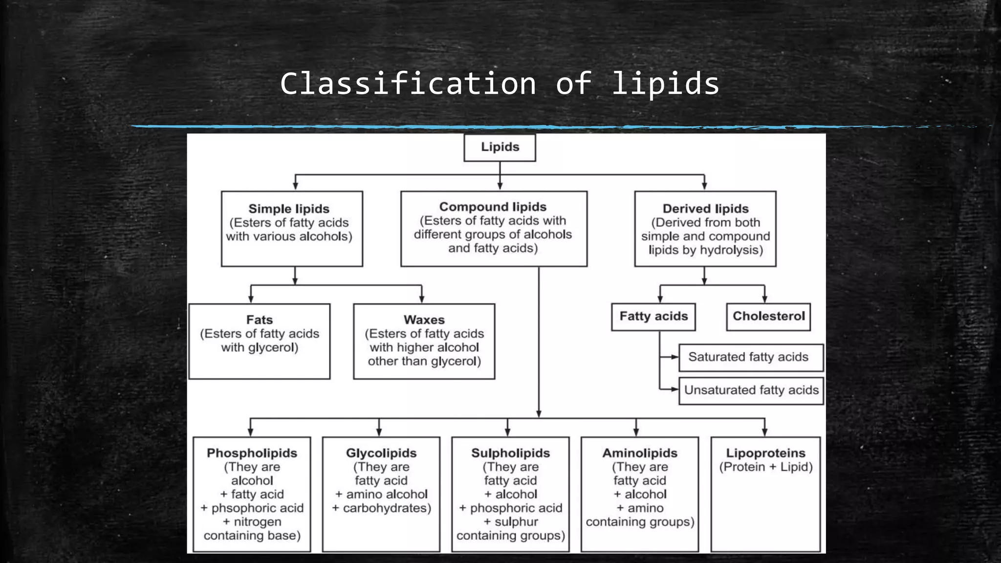 Biochemistry of Lipids 01.pptx