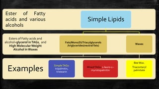 Biochemistry of Lipids 01.pptx