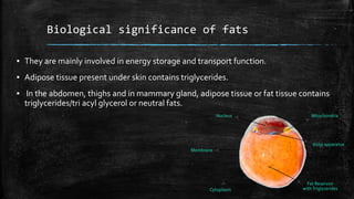 Biochemistry of Lipids 01.pptx