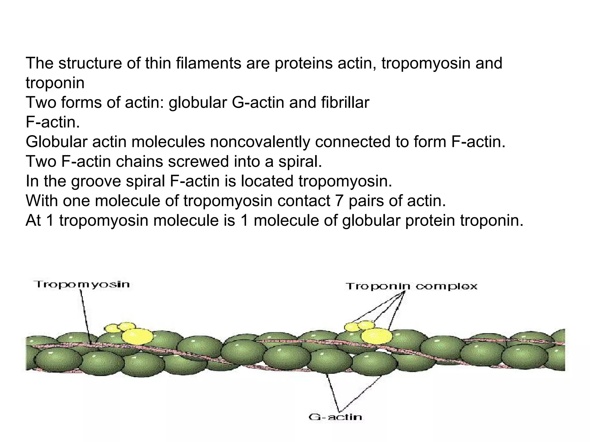 Biochemistry of liver&muscles | PPT