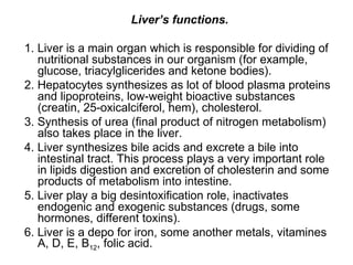 Biochemistry of liver&muscles | PPT