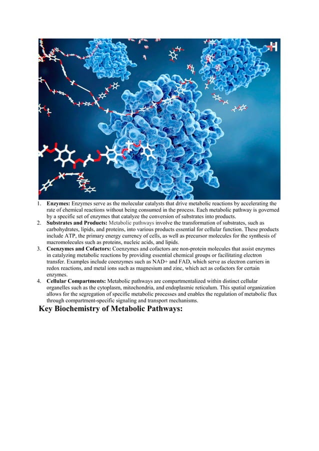 Biochemistry of Metabolic Pathways: From Energy Production to Disease ...