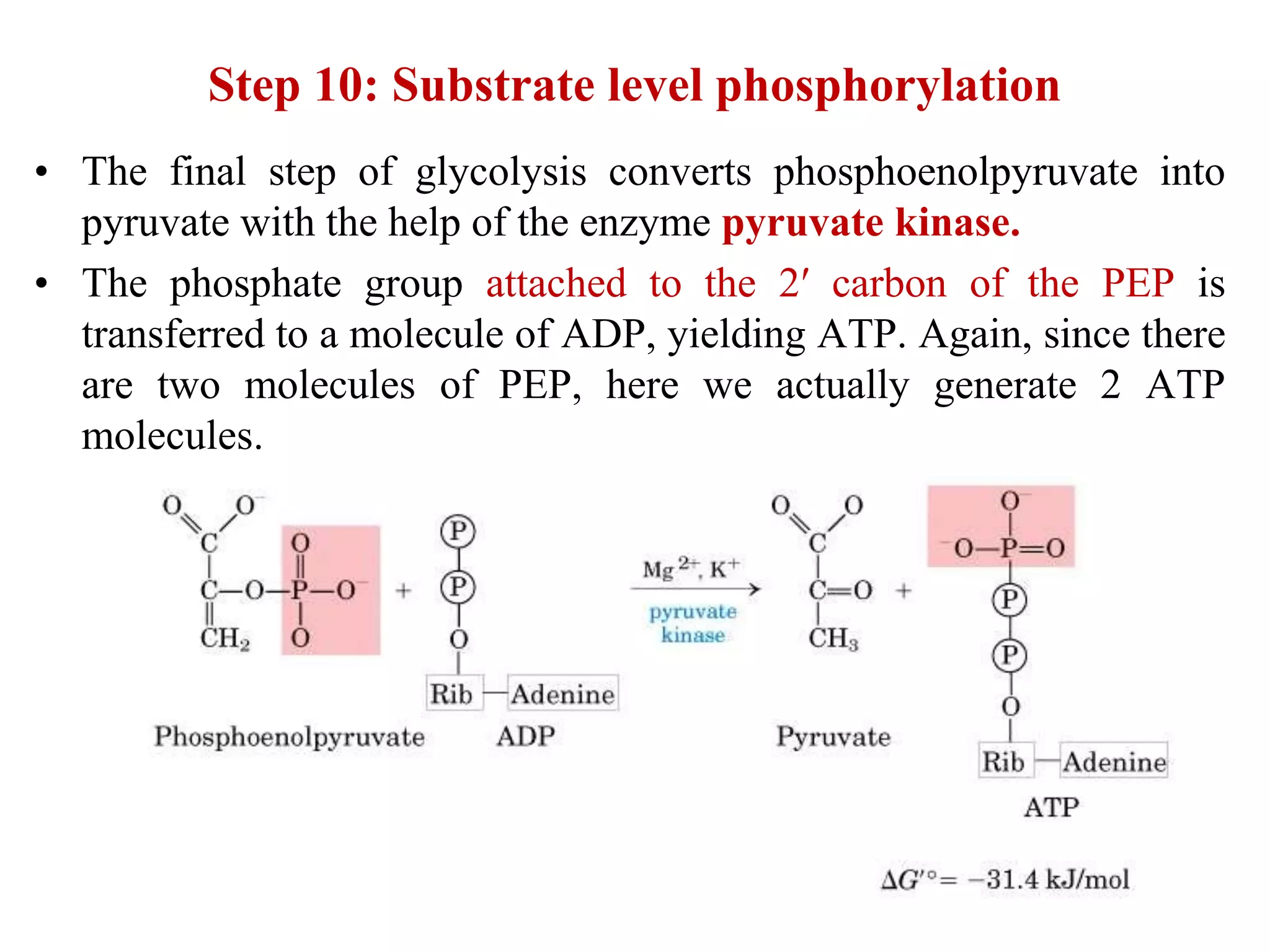 Biochemistry of microbes glycolysis or EMP pathway | PPT
