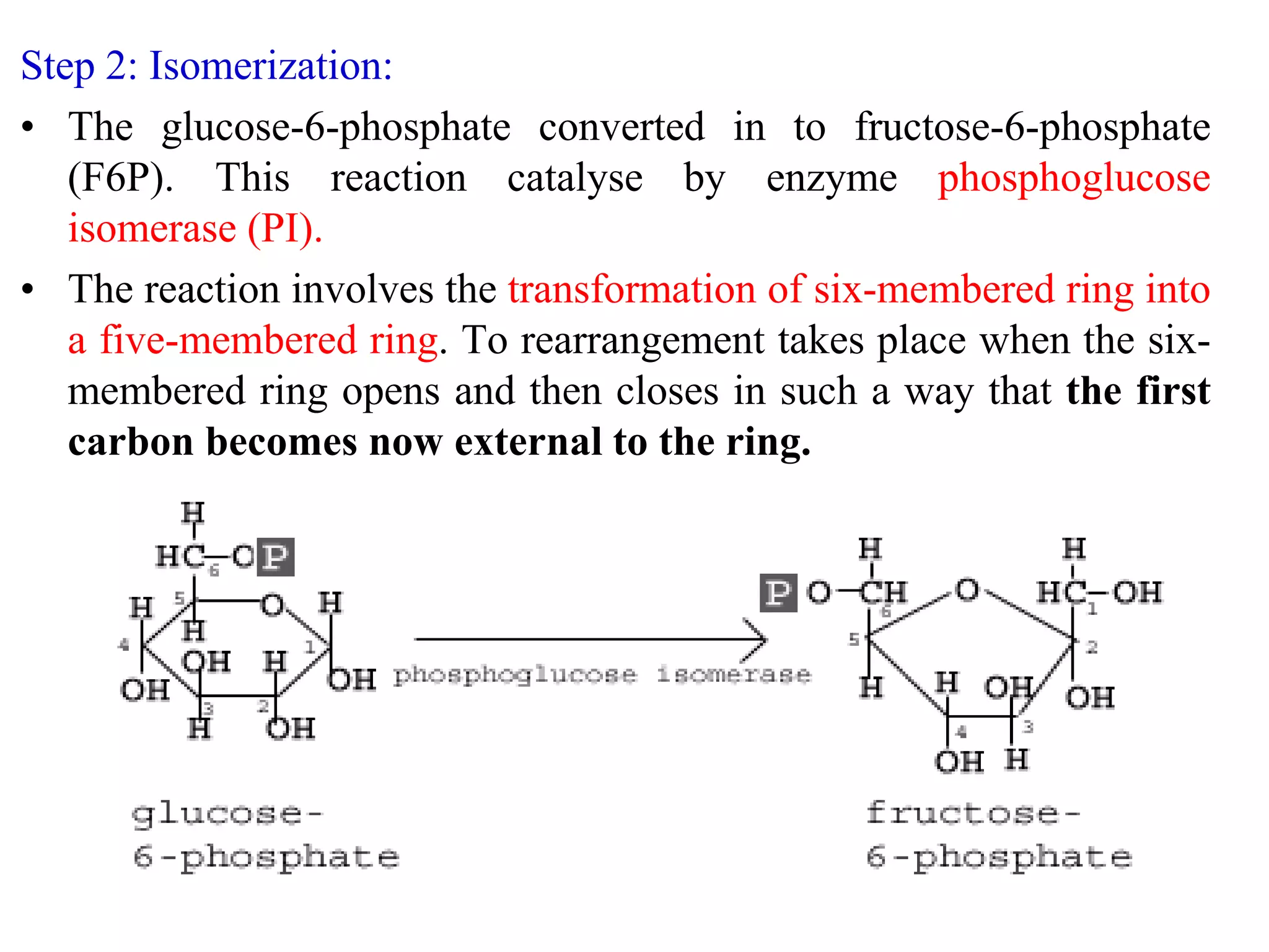 Biochemistry of microbes glycolysis or EMP pathway | PPT