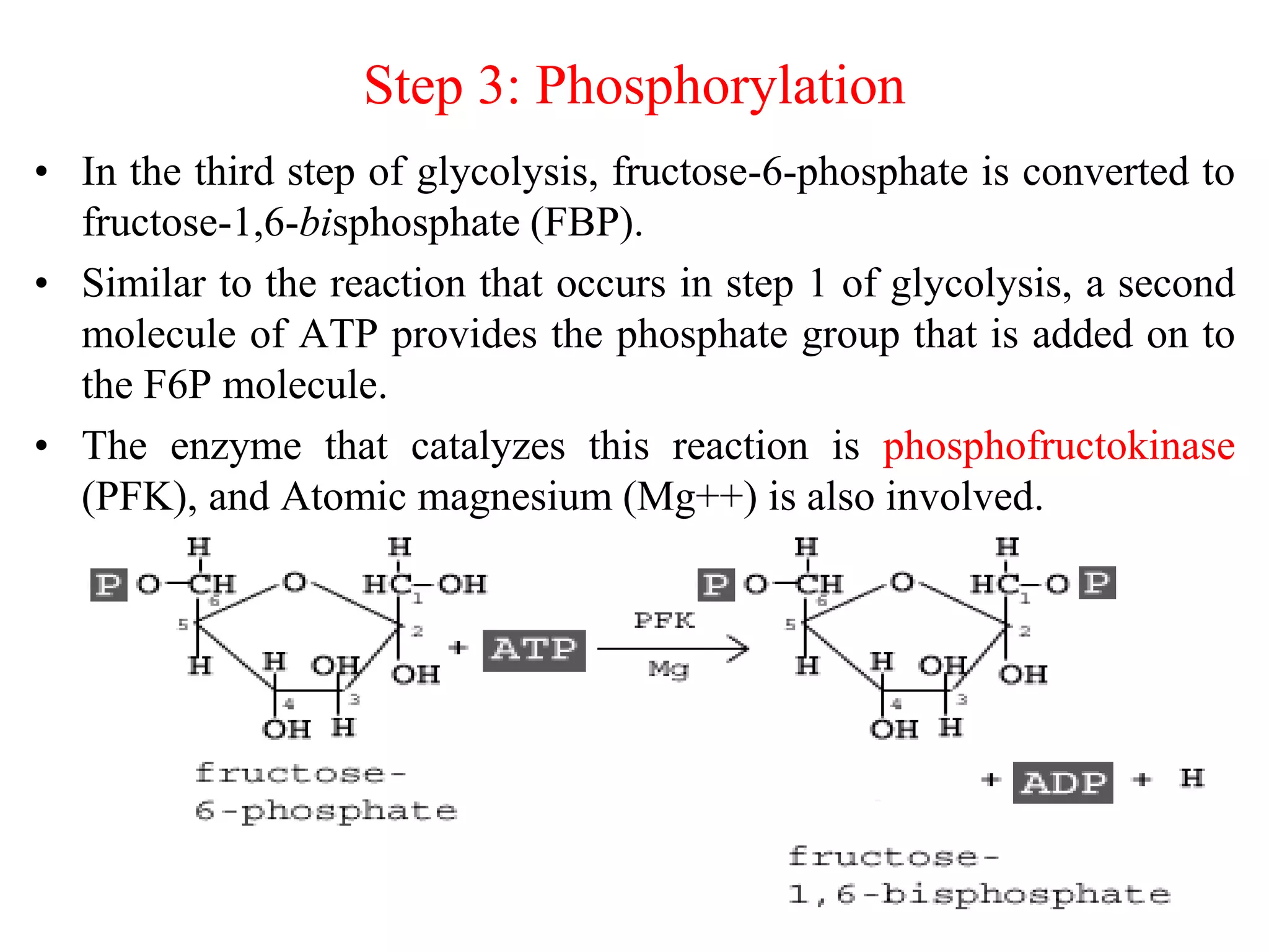 Biochemistry of microbes glycolysis or EMP pathway | PPT