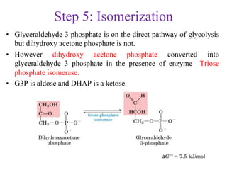 Biochemistry of microbes glycolysis or EMP pathway | PPT