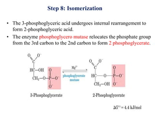 Biochemistry of microbes glycolysis or EMP pathway | PPT