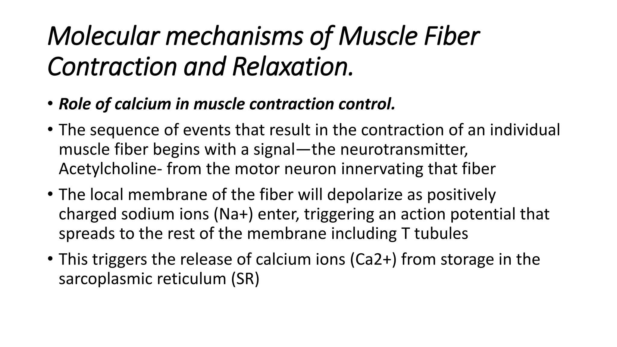 Biochemistry of Muscles.pptx