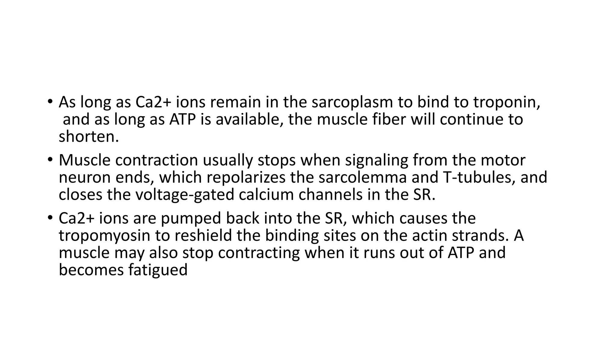 Biochemistry of Muscles.pptx