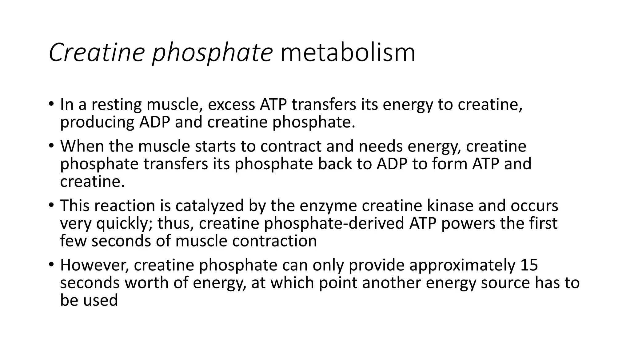 Biochemistry of Muscles.pptx