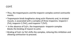 Biochemistry of Muscles.pptx