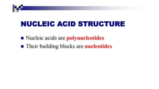 BIOCHEMISTRY OF NEUCLIC ACIDS end.pptx