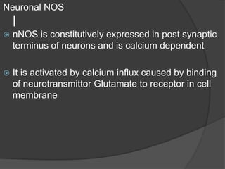 Biochemistry of nitric oxide | PPTX