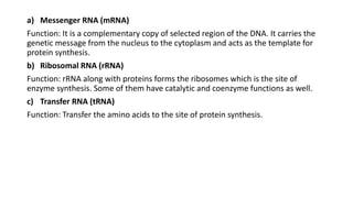 BIOCHEMISTRY OF NUCLEIC ACIDS.pptx | Chemistry | Science