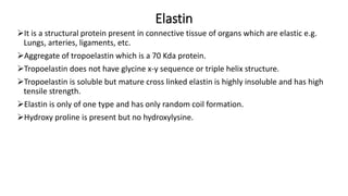 BIOCHEMISTRY OF NUCLEOPROTEINS.pptx
