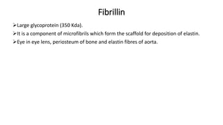 BIOCHEMISTRY OF NUCLEOPROTEINS.pptx