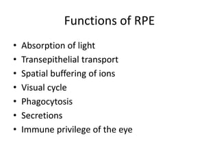 BIOCHEMISTRY OF RETINA.pptx
