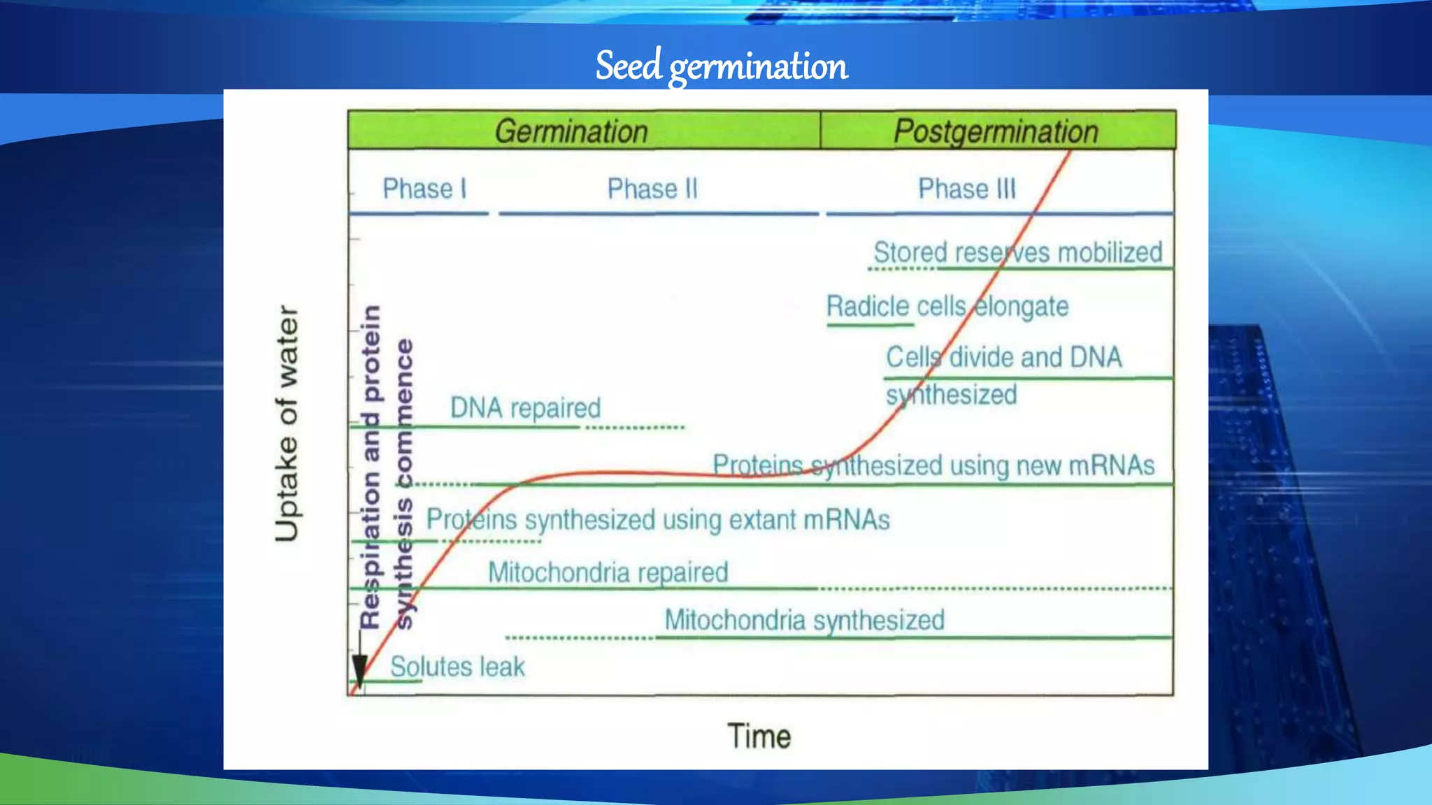 Biochemistry of seed germination.ppt