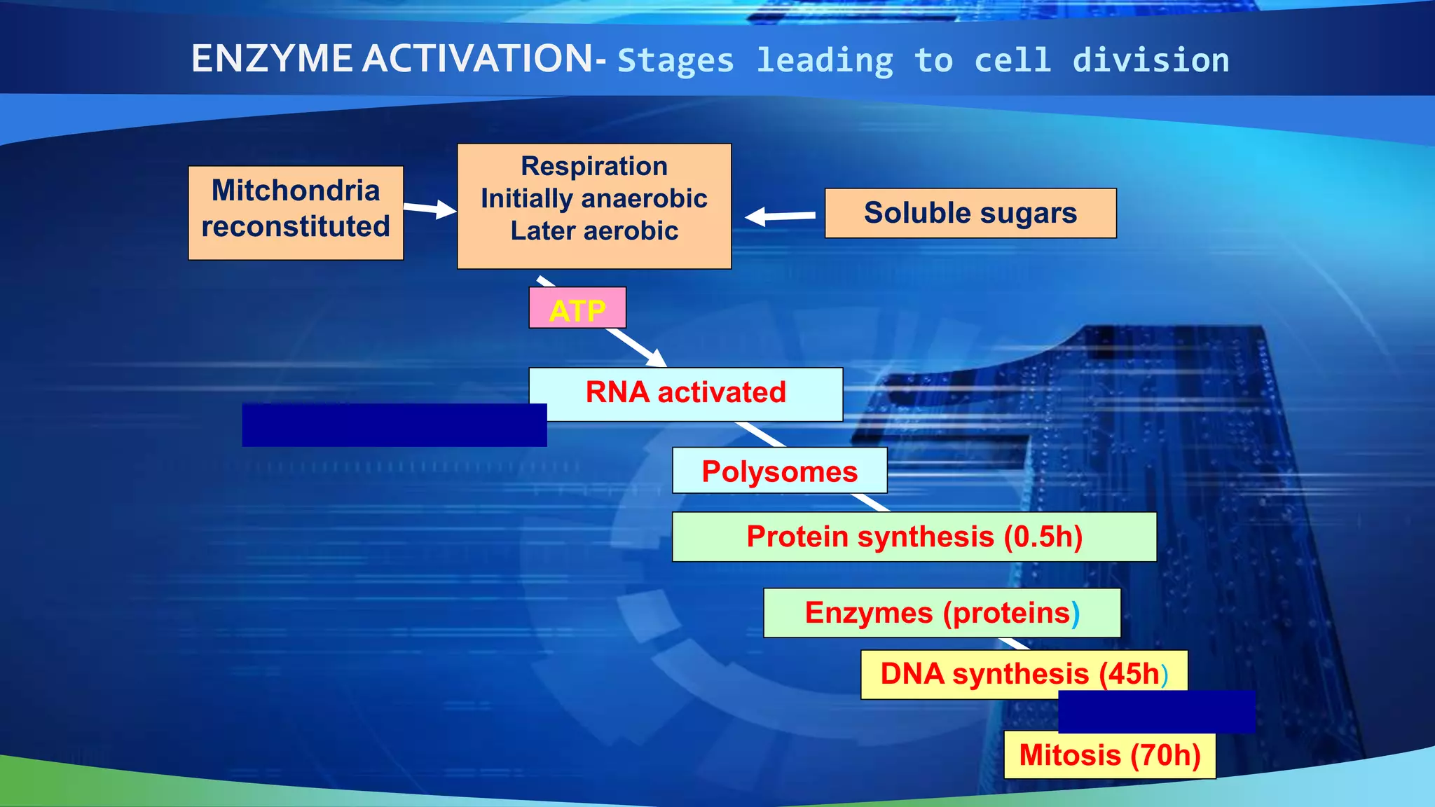 Biochemistry of seed germination.ppt