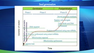 Biochemistry of seed germination.ppt