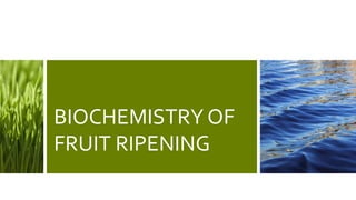Biochemistry of seed germination and fruit ripening | PPTX