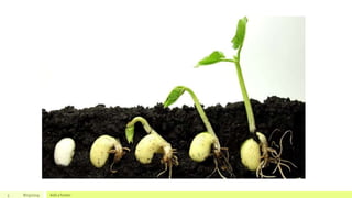 Biochemistry of seed germination and fruit ripening | PPTX