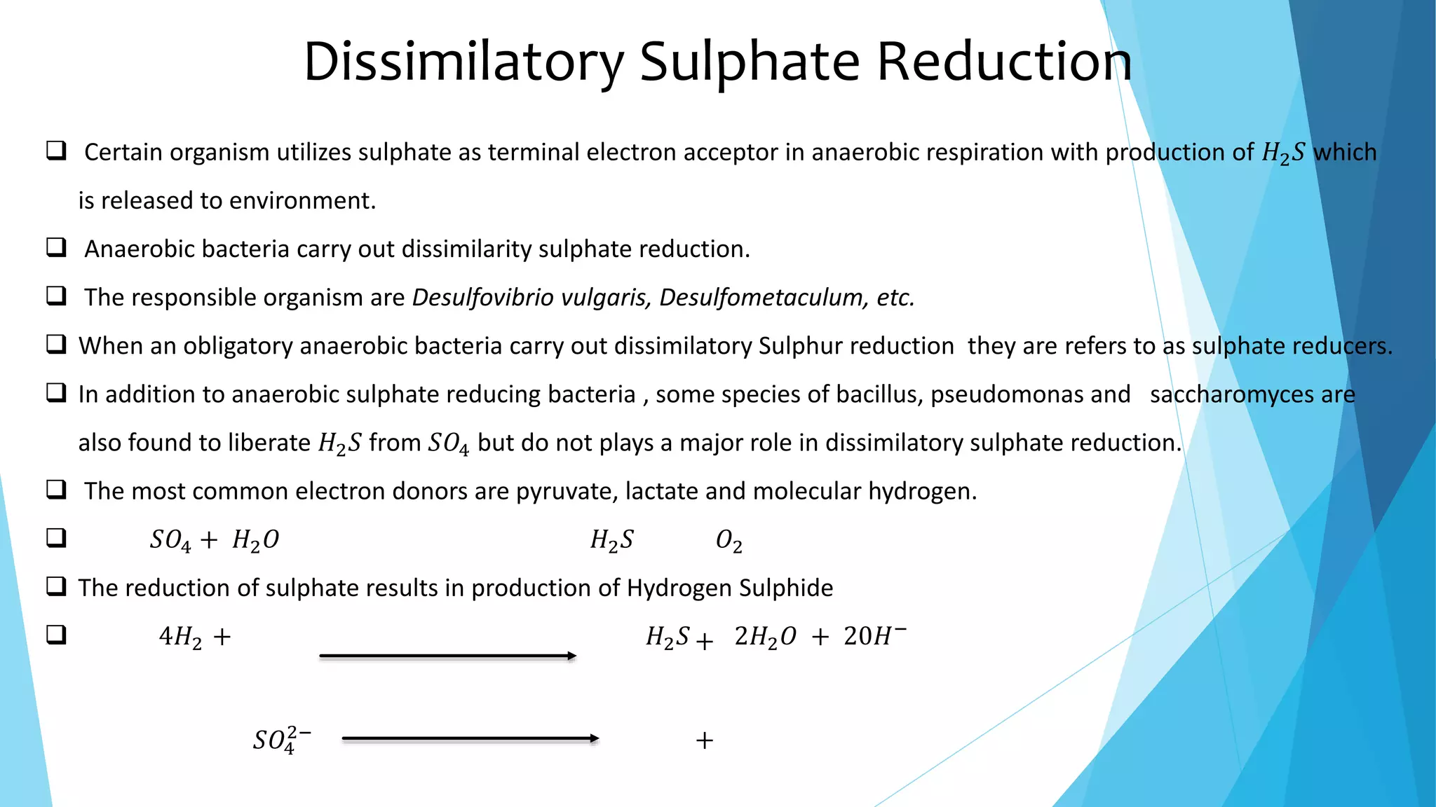 Biochemistry of sulphur reduction | PPTX