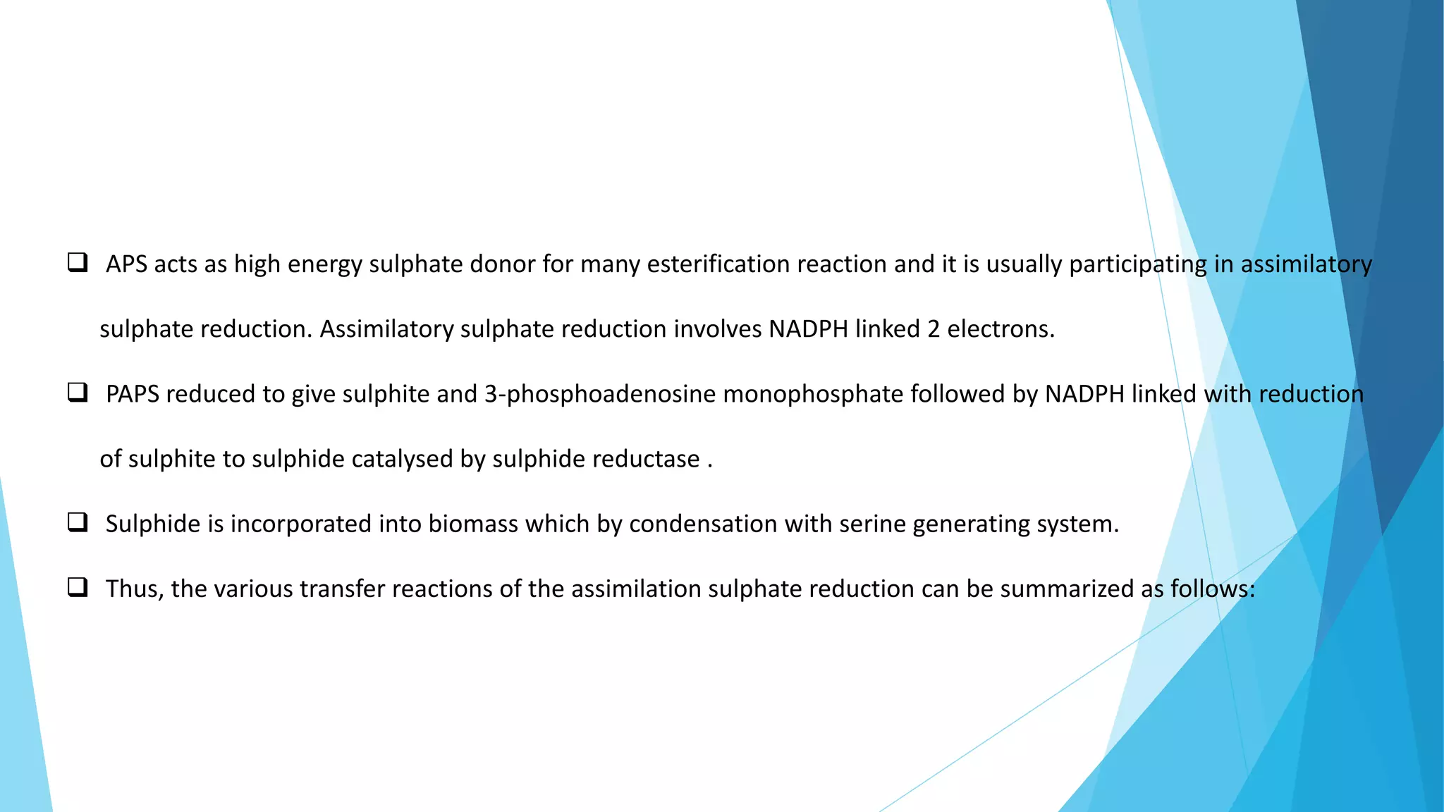 Biochemistry of sulphur reduction | PPTX