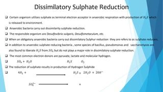 Biochemistry of sulphur reduction | PPTX