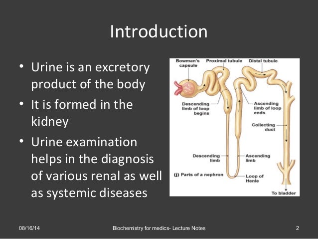 Urinalysis- Methods, observations and clinical significance