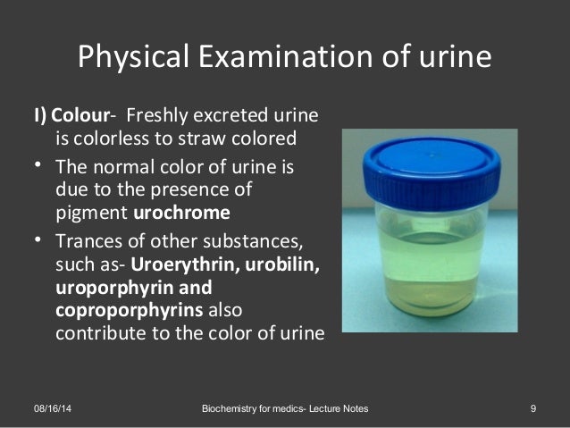 Medical Breakthrough Chemical Composition Of Human Urine