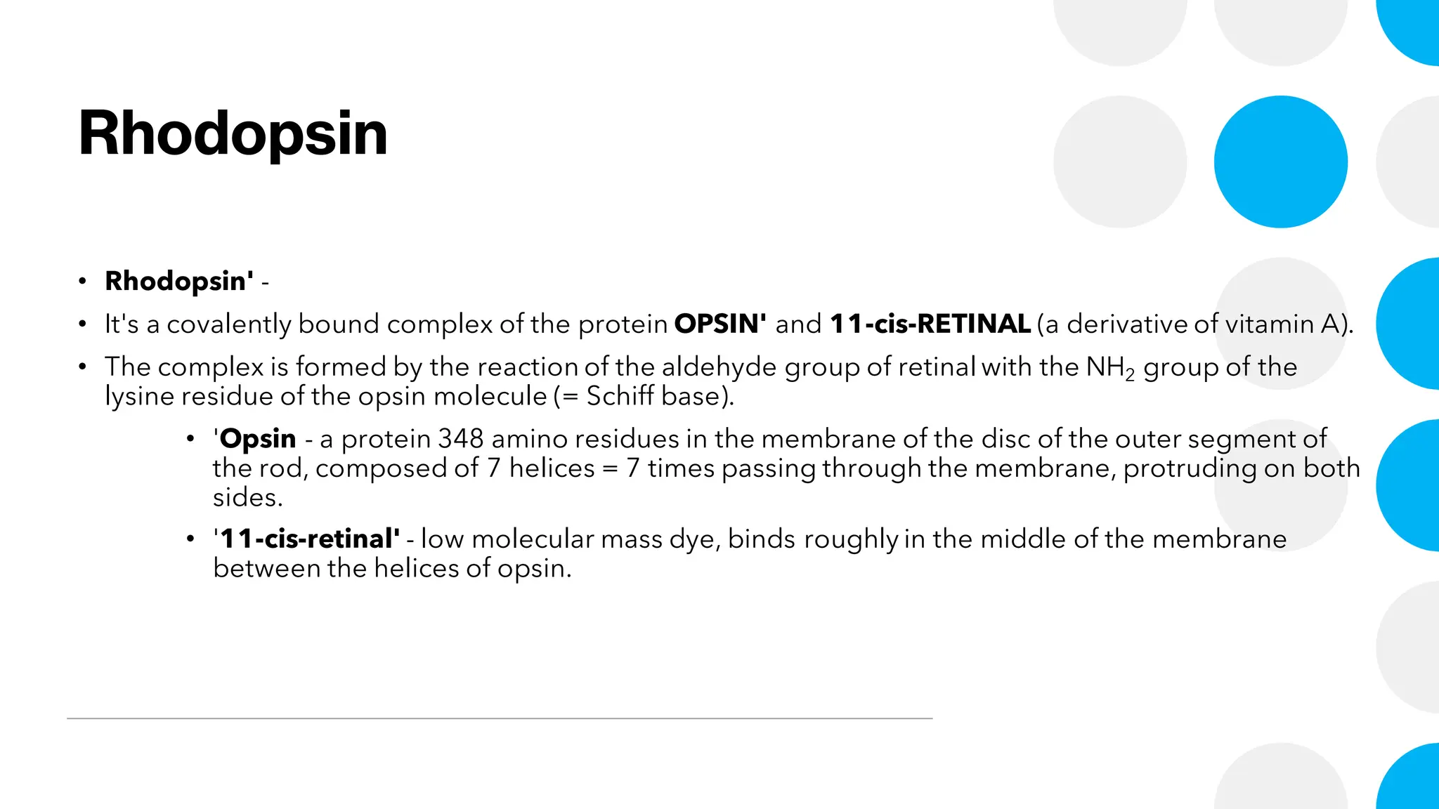 Biochemistry of Visual Process- Ocular Biochemistry | PDF