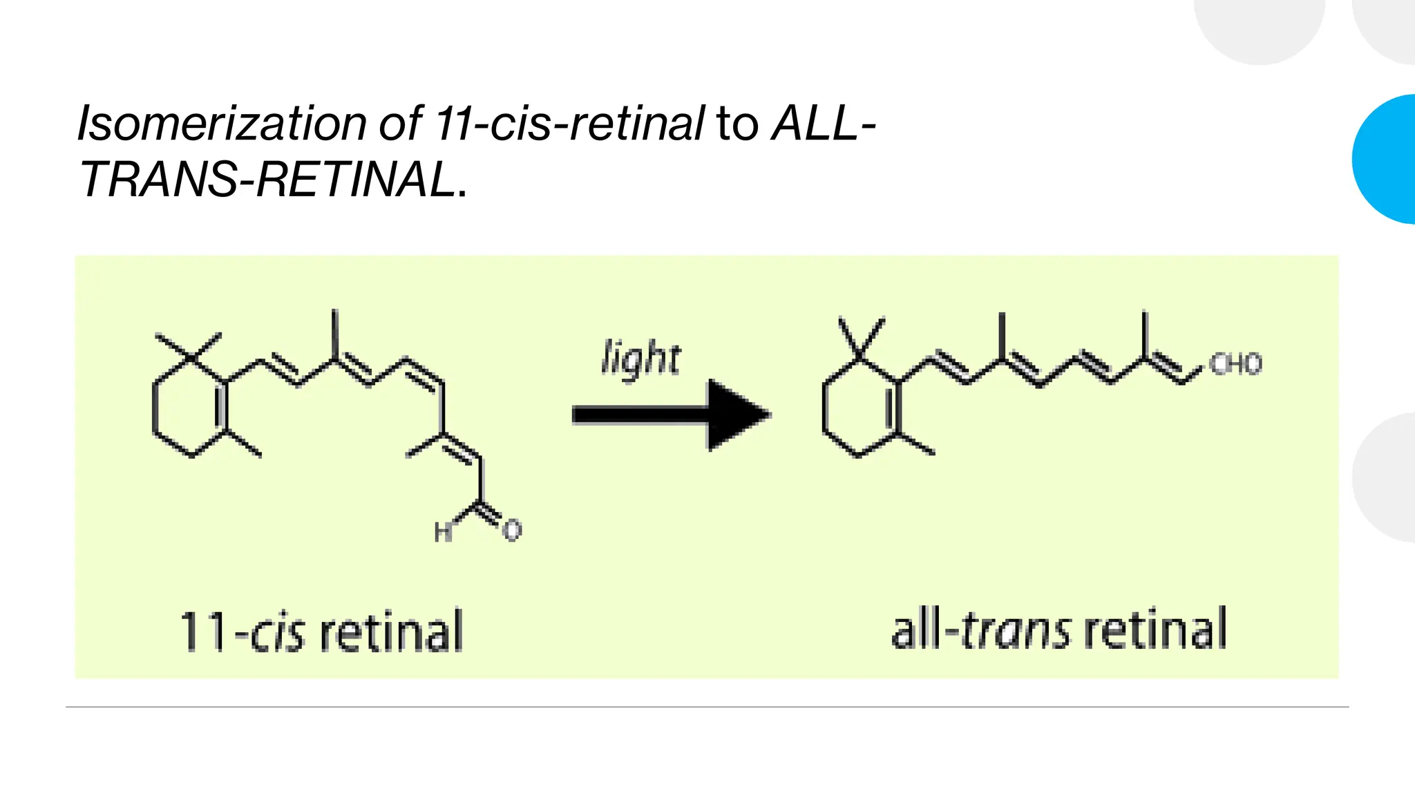 Biochemistry of Visual Process- Ocular Biochemistry | PDF