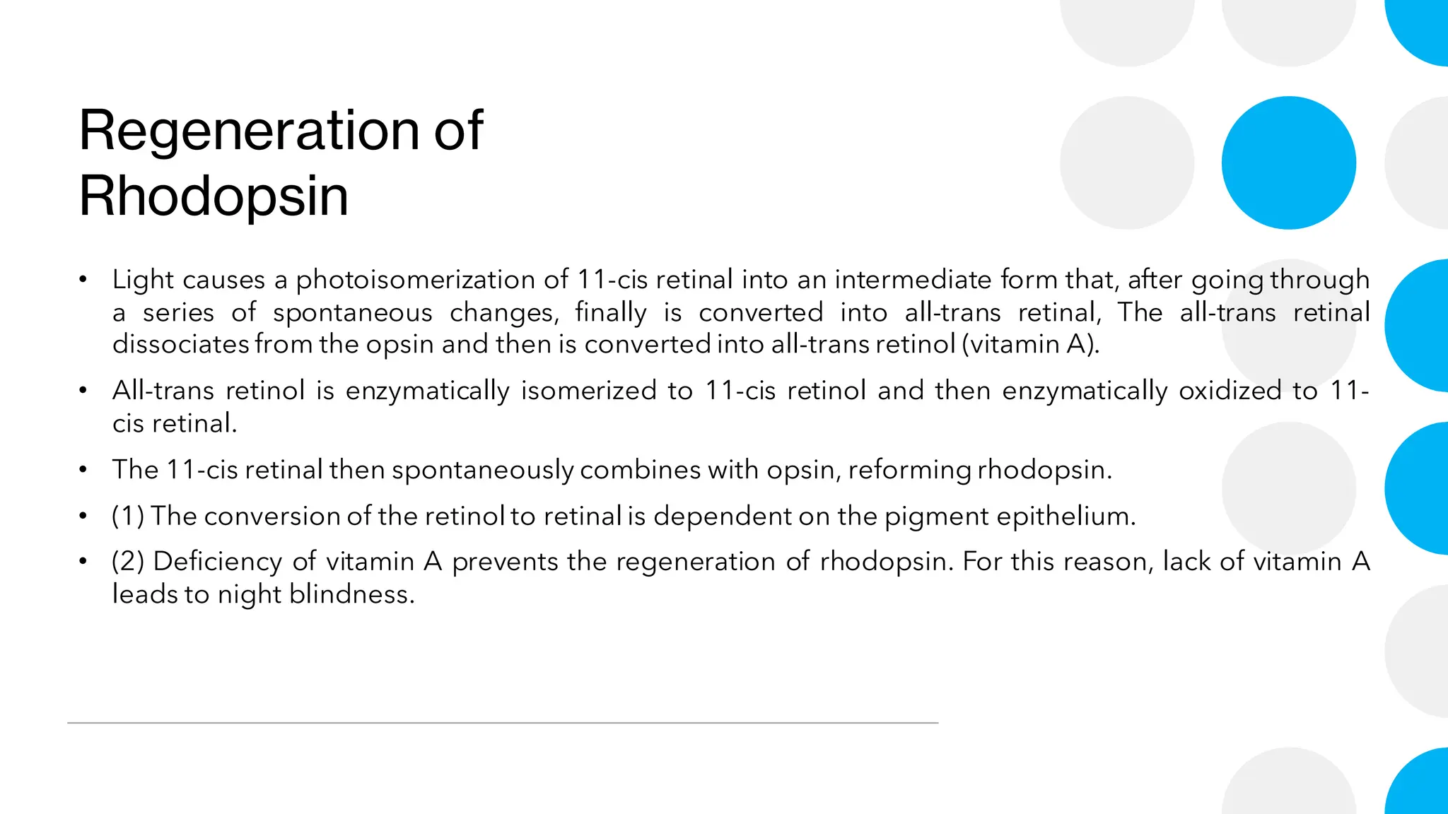 Biochemistry of Visual Process- Ocular Biochemistry | PDF