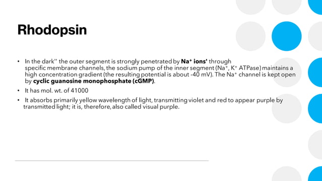 Biochemistry of Visual Process- Ocular Biochemistry | PDF