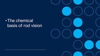 Biochemistry of Visual Process- Ocular Biochemistry | PDF