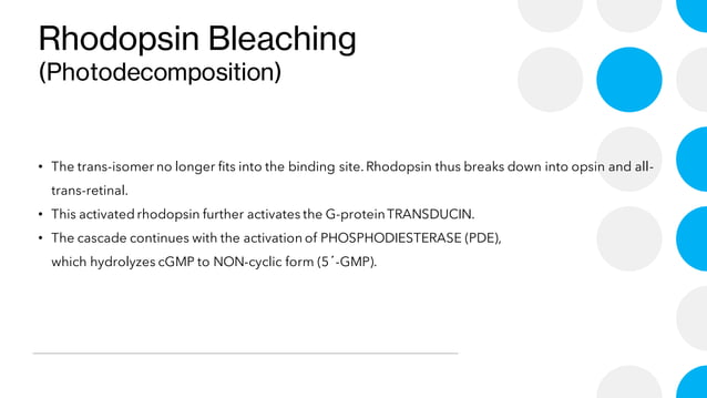 Biochemistry of Visual Process- Ocular Biochemistry | PDF