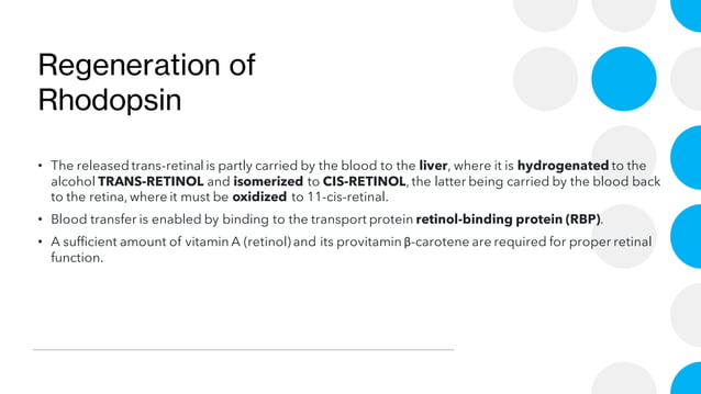 Biochemistry of Visual Process- Ocular Biochemistry | PDF