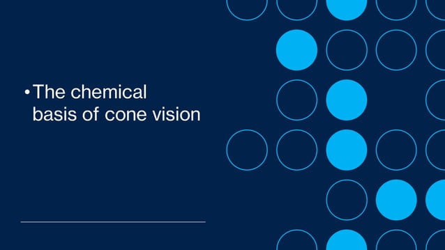 Biochemistry of Visual Process- Ocular Biochemistry | PDF