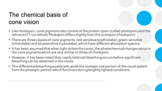 Biochemistry of Visual Process- Ocular Biochemistry | PDF
