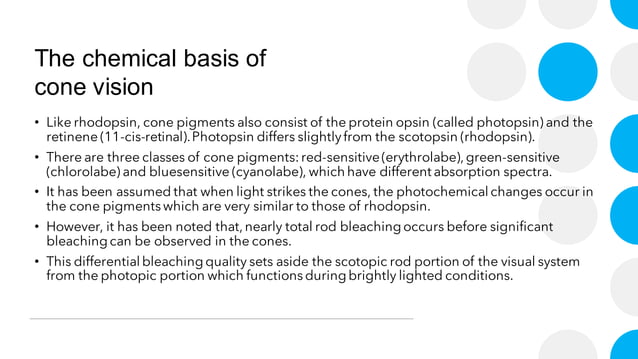 Biochemistry of Visual Process- Ocular Biochemistry | PDF