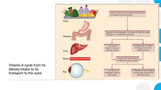 Biochemistry of Visual Process- Ocular Biochemistry | PDF
