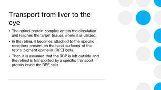 Biochemistry of Visual Process- Ocular Biochemistry | PDF
