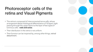 Biochemistry of Visual Process- Ocular Biochemistry | PDF