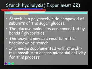 Biochemistry | PPT | Chemistry | Science